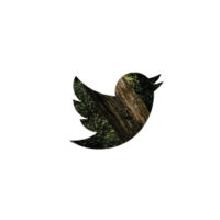 FLORAMA - Bienvenue sur le site officiel de notre pépinière